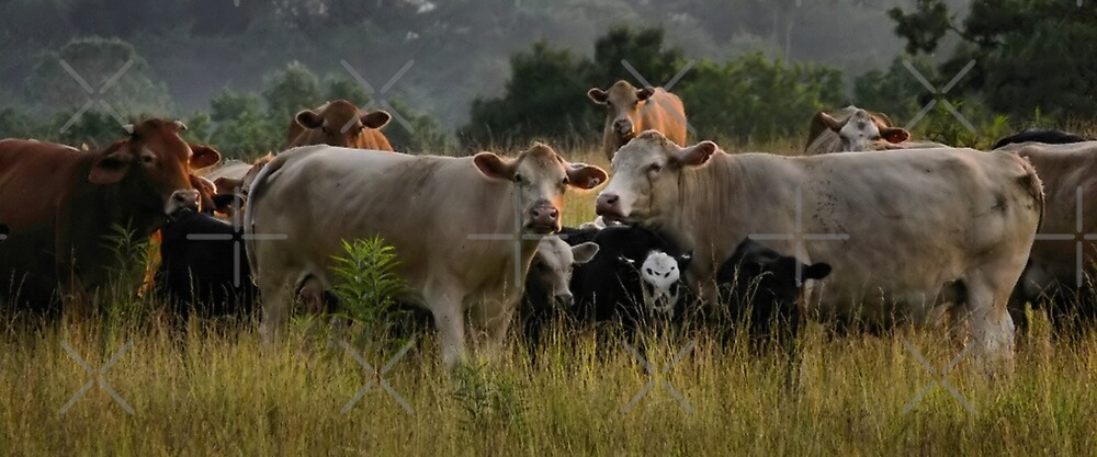 "Freaky Cow " by Rachel Leigh | Redbubble
