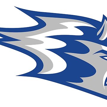 "University of Wisconsin–Stout blue devils" Kids T-Shirt for Sale by ...