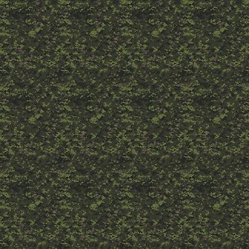 "Canadian CADPAT TW" iPad Case & Skin for Sale by RawTactical | Redbubble