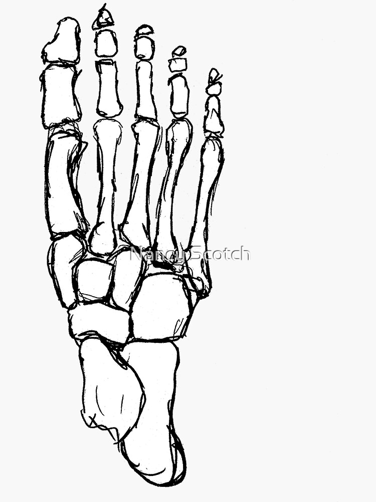 "skeleton foot" Sticker by FancyDancyNancy | Redbubble