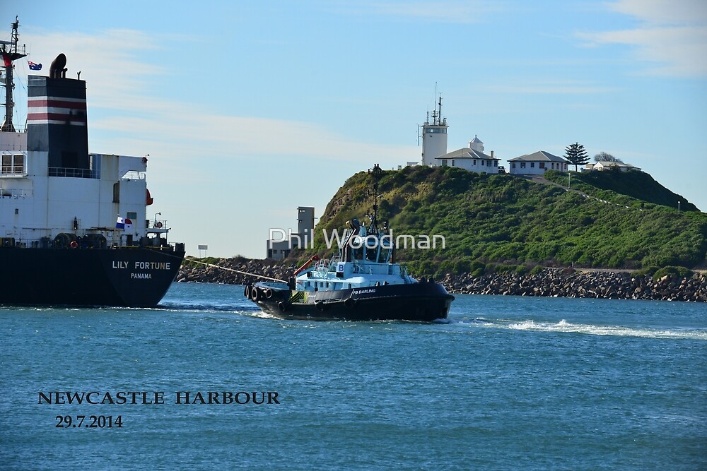 "LILY FORTUNE - BULK CARRIER" by Phil Woodman | Redbubble