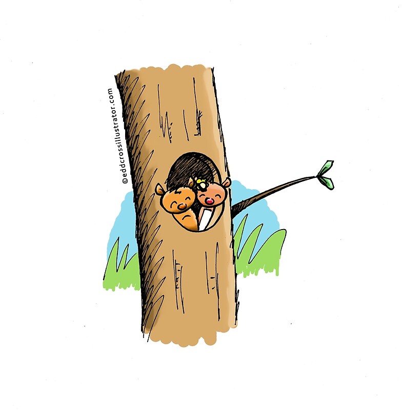 "Ringo and Ringlet the Ringtail Possums in their home tree" by eddcross ...