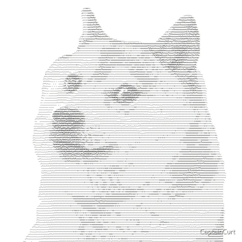 "ASCII Doge " by CaptainCurt | Redbubble
