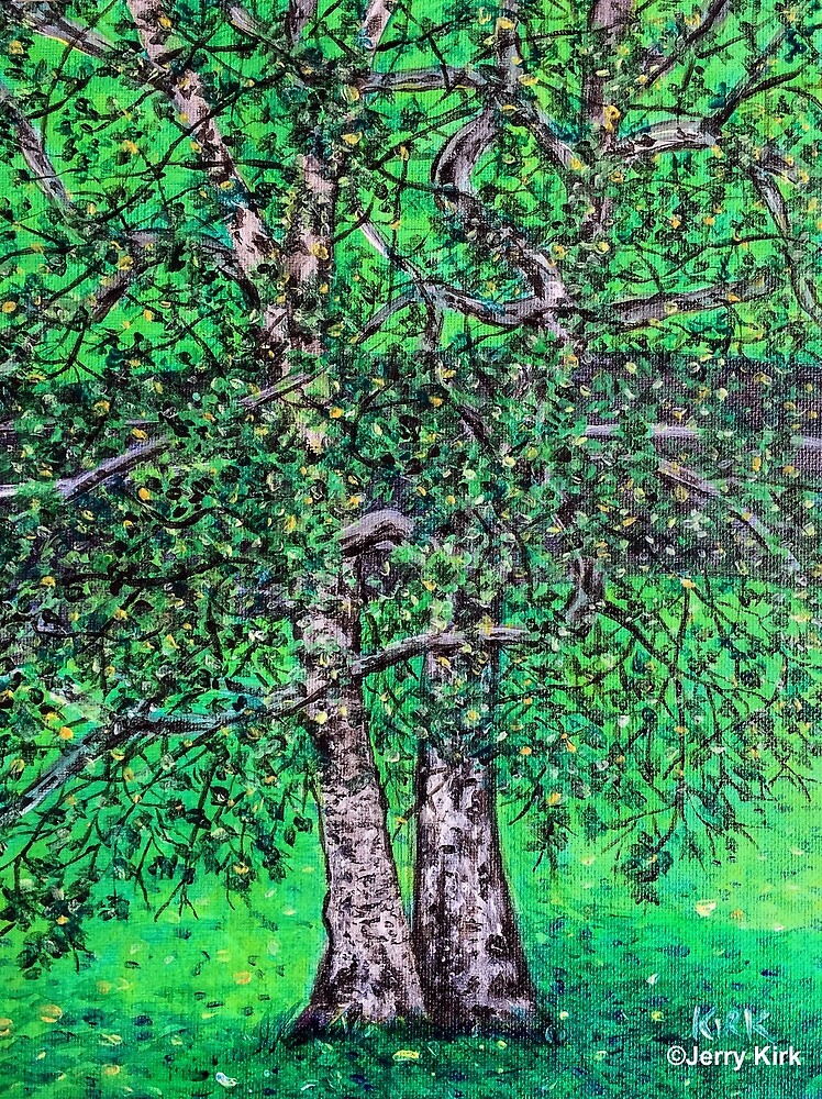 "'Elm Trees' (Plein Air Painting)" by Jerry Kirk | Redbubble