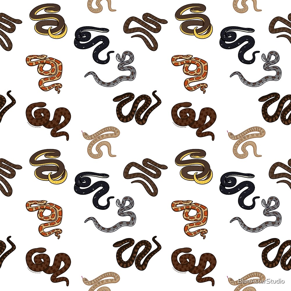 "Snake Print" by BlueAsterStudio | Redbubble