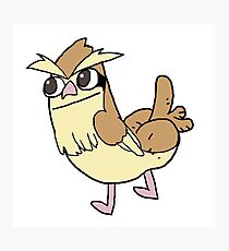 Dickbut: Wandbilder | Redbubble