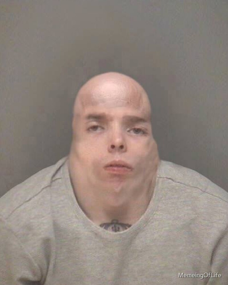 "Bryan Silva" by MemeingOfLife | Redbubble