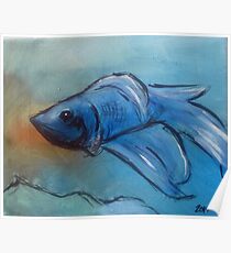 Betta Fish Posters | Redbubble