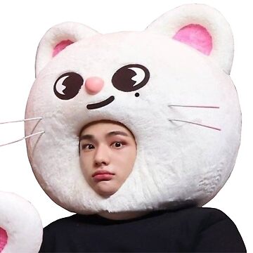 "jiniret hyunjin SKZOO" Sticker for Sale by dadv | Redbubble