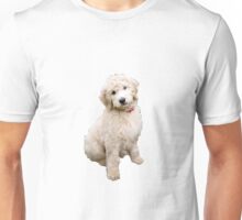 Labradoodle: Gifts & Merchandise | Redbubble