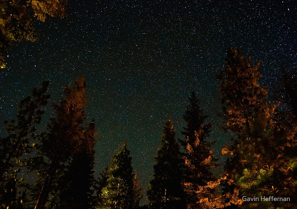 "Sea of Beautiful Stars Over Forest " by Gavin Heffernan | Redbubble