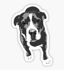 Staffy Stickers | Redbubble