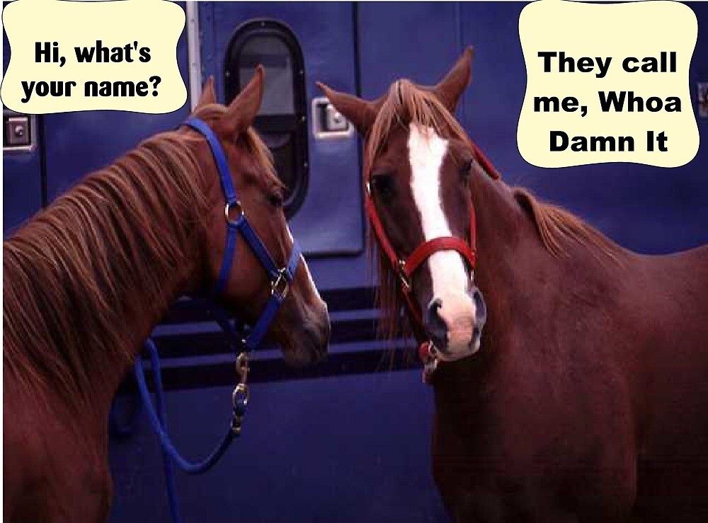 "Hi what's your name. They call me Whoa Damn It" by MuleSense | Redbubble