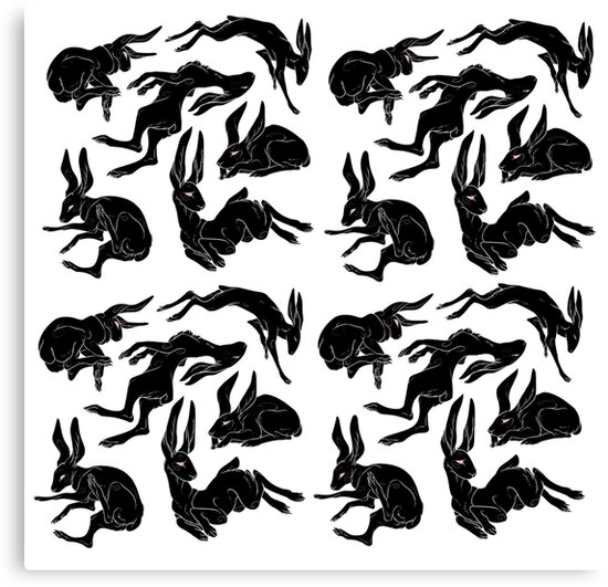"Black Rabbit of Inle" Canvas Print by kitsiyo | Redbubble