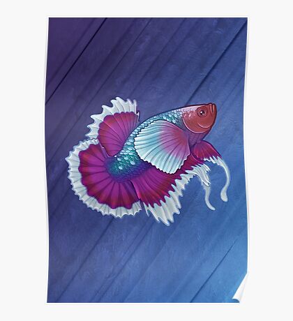 Betta Fish: Posters | Redbubble