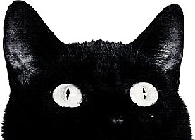 Cat: Stickers | Redbubble