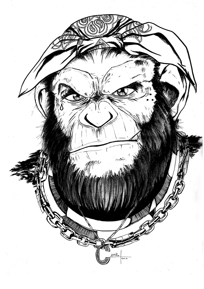 "gangster chimp...black and white" by camillo88 | Redbubble