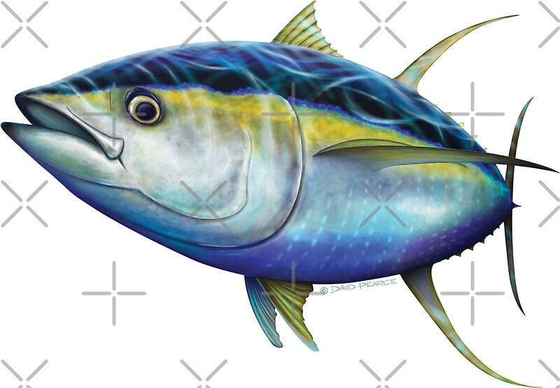 Yellowfin Tuna: Stickers | Redbubble