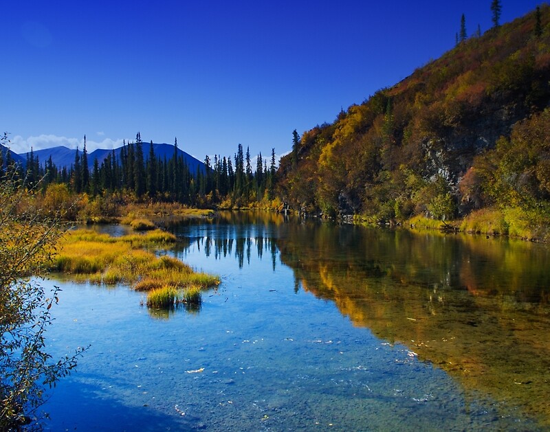 "Roadside Pond along Dempster Highway" by Yukondick | Redbubble