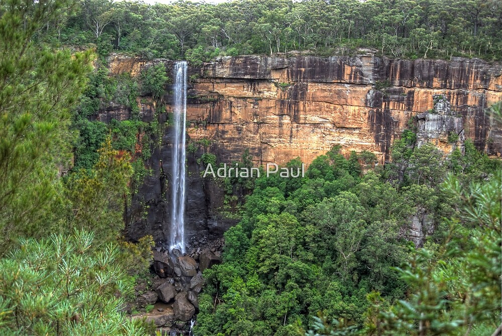 "Fitzroy Falls, NSW, Australia" by Adrian Paul | Redbubble