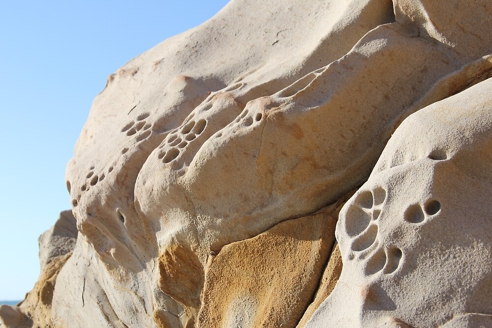 "California Coast Rock Formations" by Shannon Schober | Redbubble