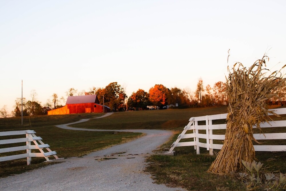 "INDIANA FARM AT SUNSET" by Pauline Evans | Redbubble