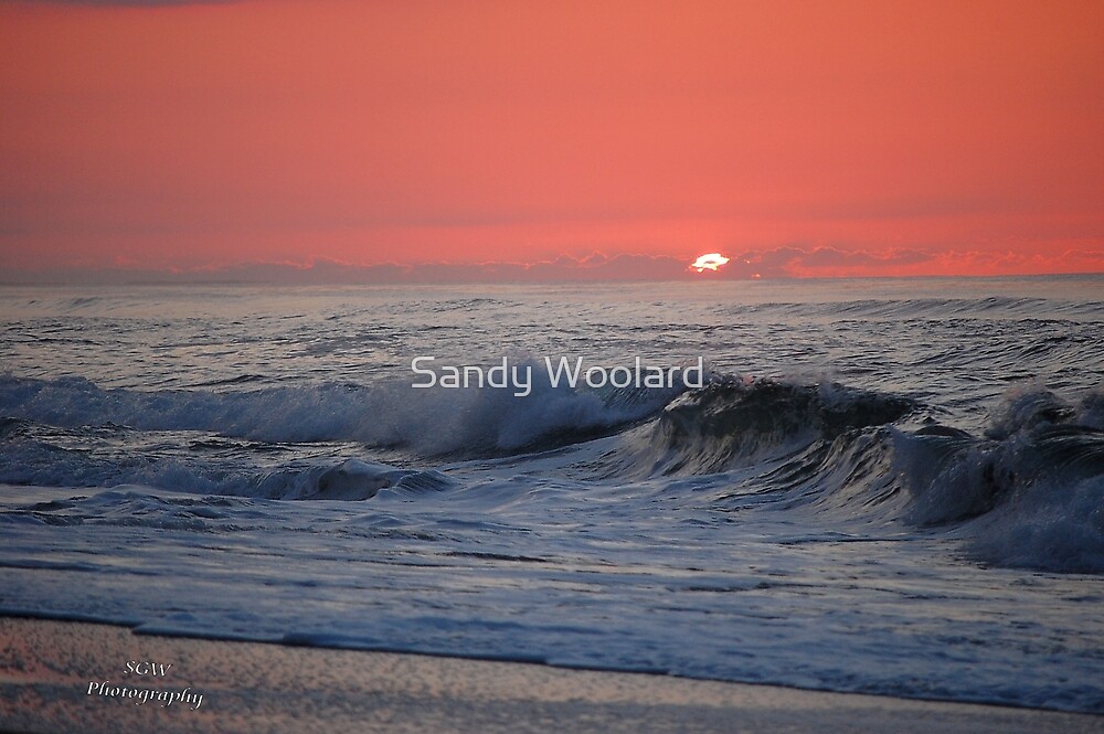 "Beach Day" by Sandy Woolard | Redbubble