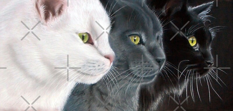 "Gradient of cats" by SylvieG18 | Redbubble