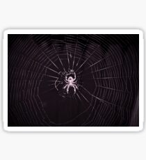 Spider Web: Stickers | Redbubble
