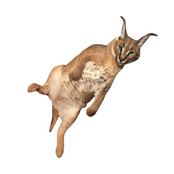 "Big Floppa" Art Board Print for Sale by ZoRa Ideale | Redbubble