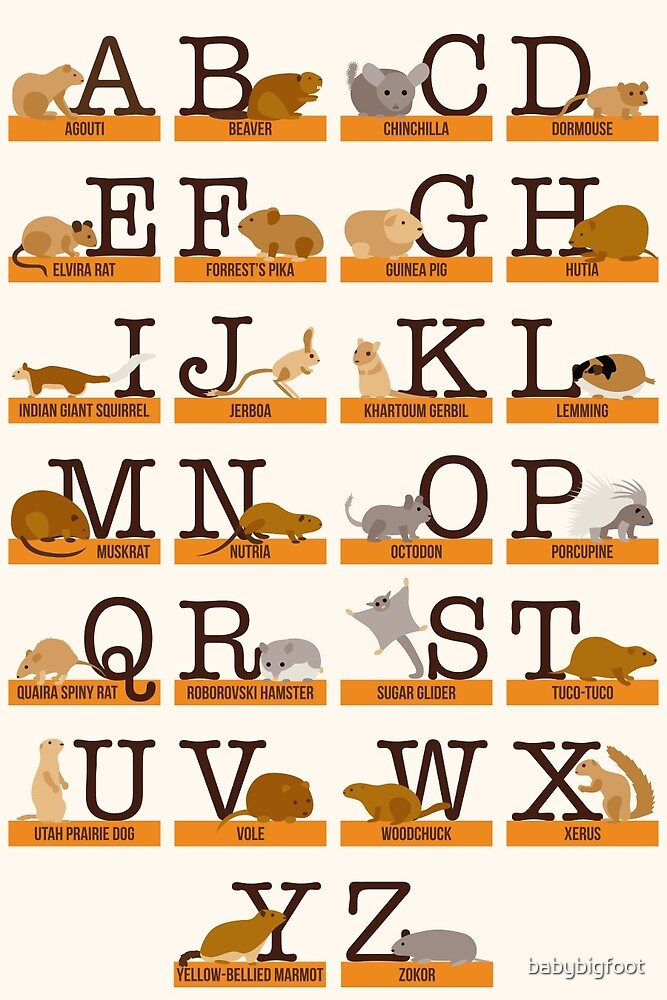 "Rodents Alphabet" by babybigfoot | Redbubble