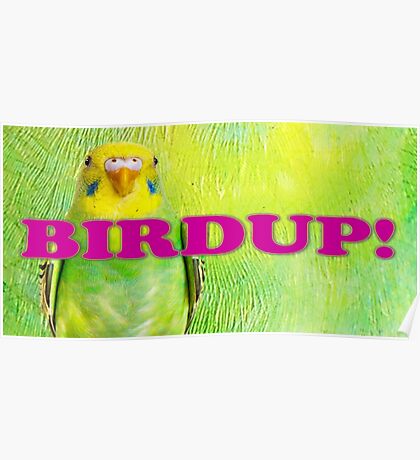 Eric Andre Show: Posters | Redbubble