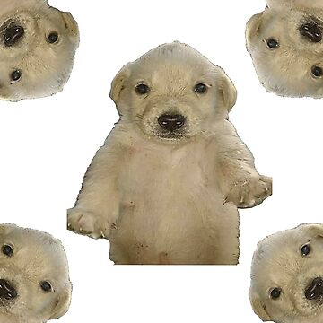 Pegatina con la obra «Perro meme "Te quiero mucho"» de Angel5498 ...