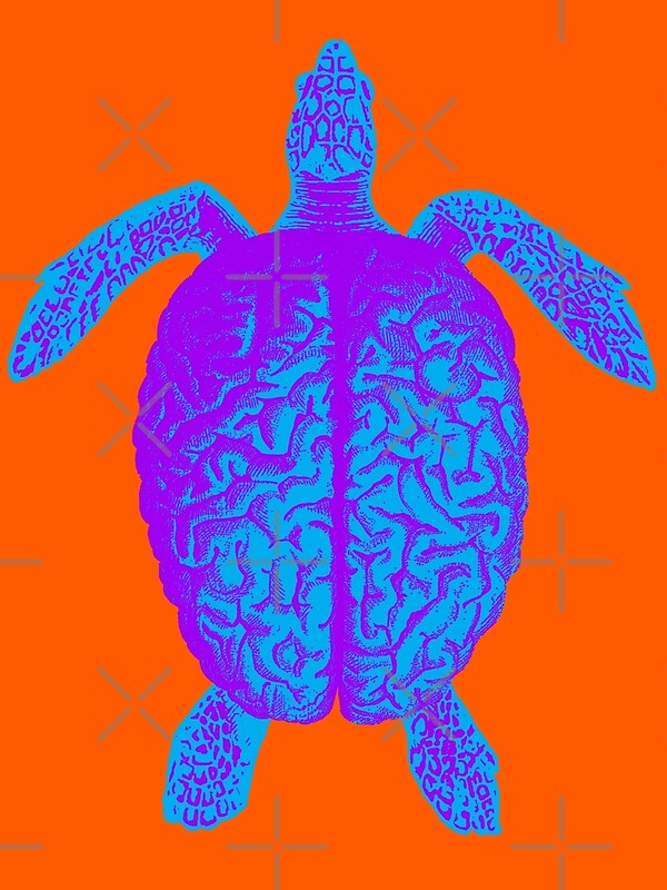 "Psychedelic Turtle Brain" by monsterplanet | Redbubble
