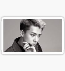 Exo: Stickers | Redbubble