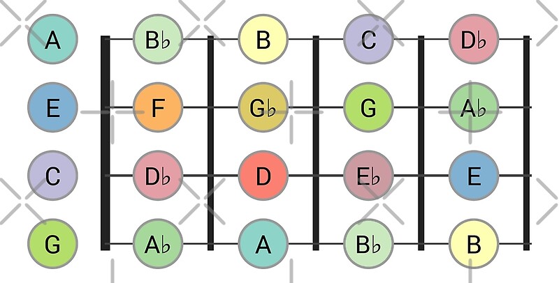 "Ukulele Fretboard - All Chromatic Notes on the 1st 4 Frets" by ...