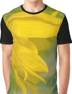 Disclosure: T-Shirts | Redbubble