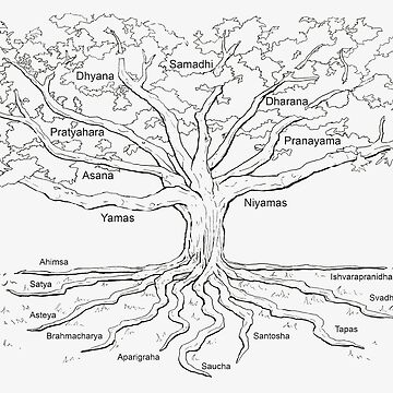 "8-limbed Tree of Yoga by Justin Lorenzen" Art Board Print for Sale by ...