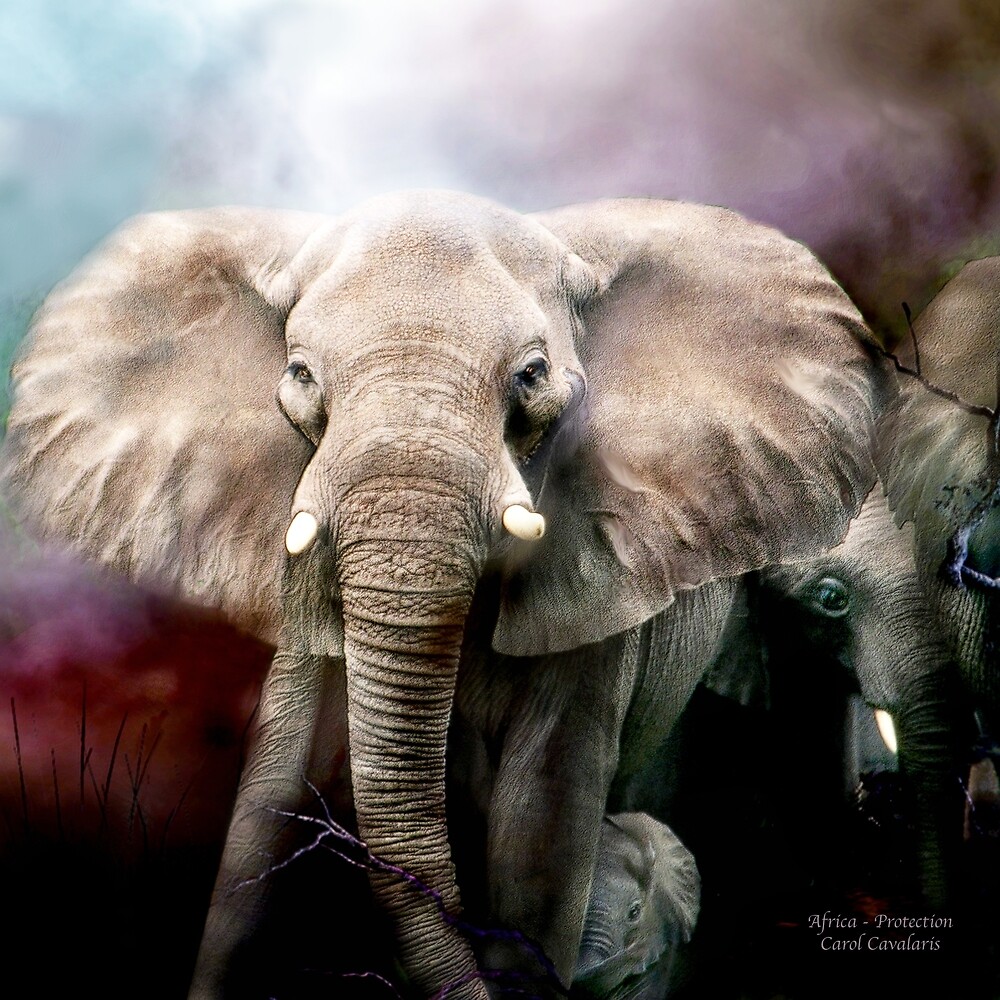 "Africa - Protection" by Carol Cavalaris | Redbubble