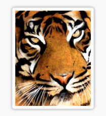 Tigger: Gifts & Merchandise | Redbubble