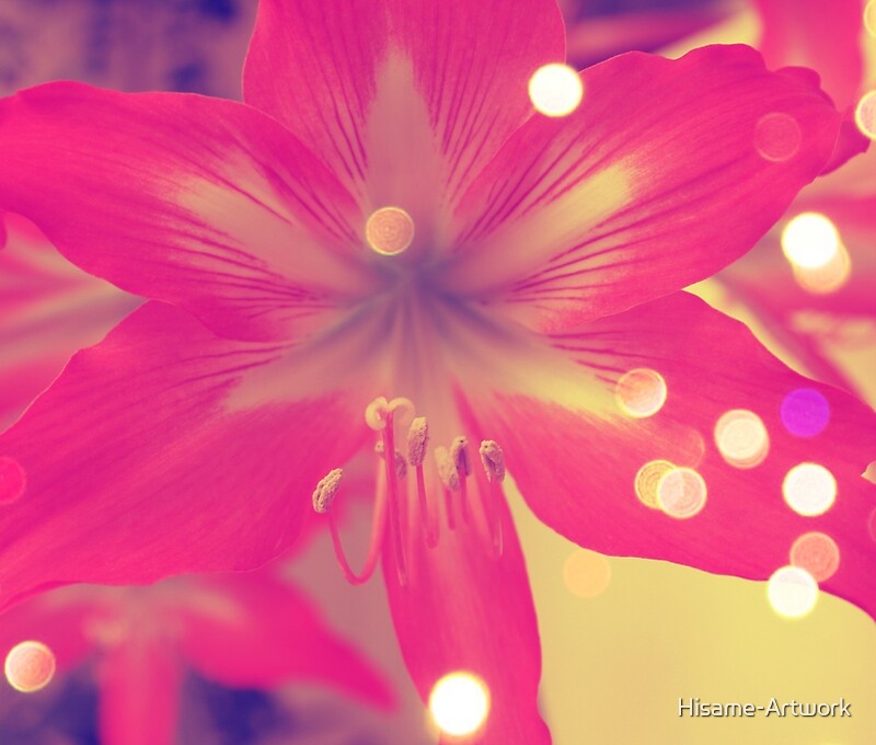"Secret Garden | Pink tigress " by Hisame-Artwork | Redbubble