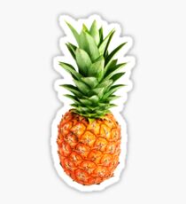 Ananas Stickers | Redbubble