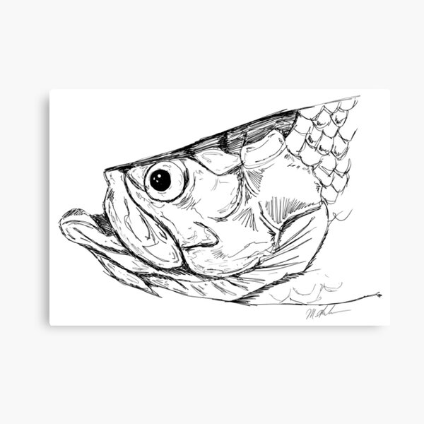 Tarpon Wall Art | Redbubble