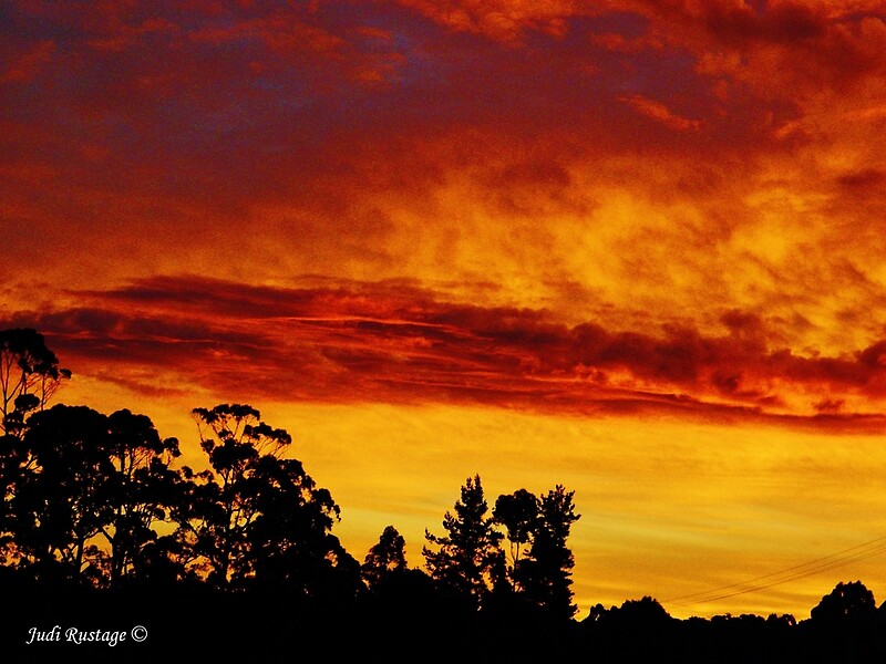 "Night Sky at Somerset" by Judi Rustage | Redbubble