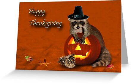 "Thanksgiving Pilgrim Raccoon" Greeting Cards by jkartlife | Redbubble