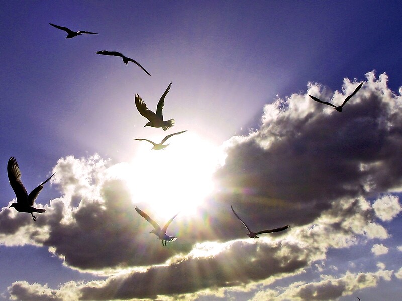 "FLYING INTO THE LIGHT" by Spiritinme | Redbubble