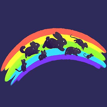 "Rainbow Bridge" Sticker for Sale by pawlove | Redbubble
