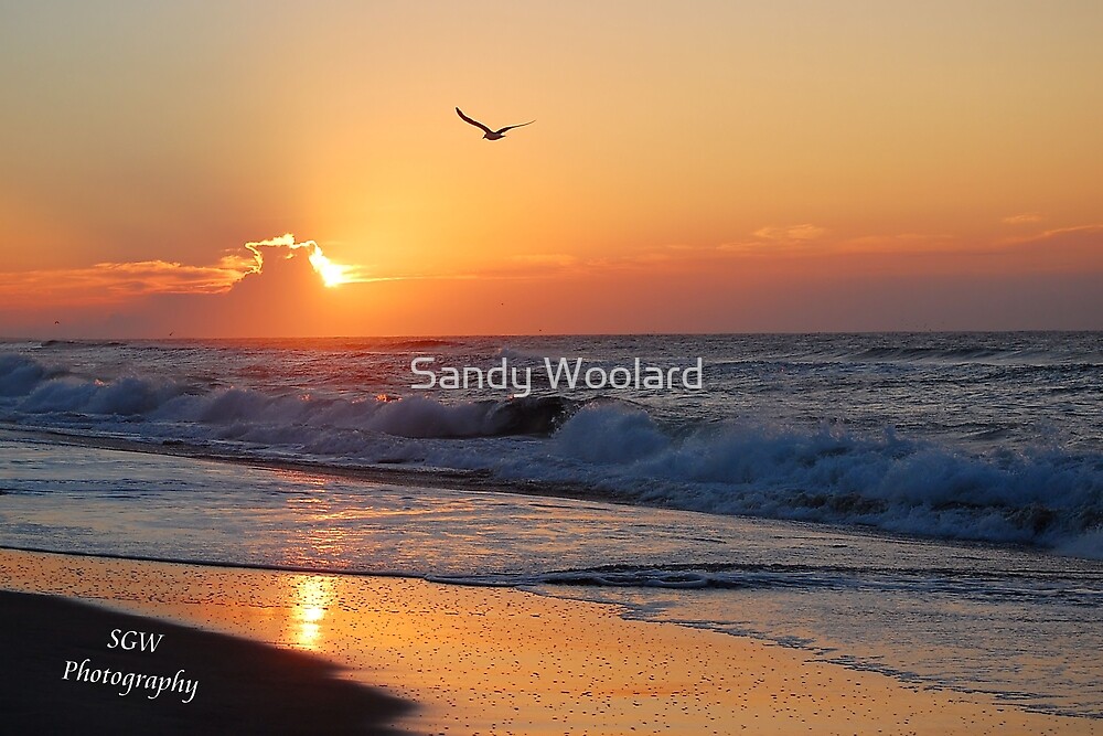 "Carolina Coastal Morning" by Sandy Woolard | Redbubble