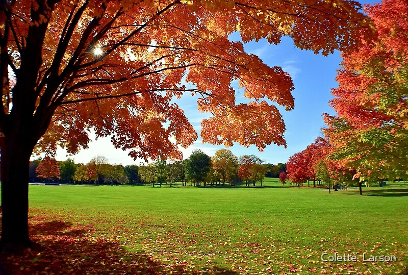 "Beautiful October" by Colette Larson | Redbubble