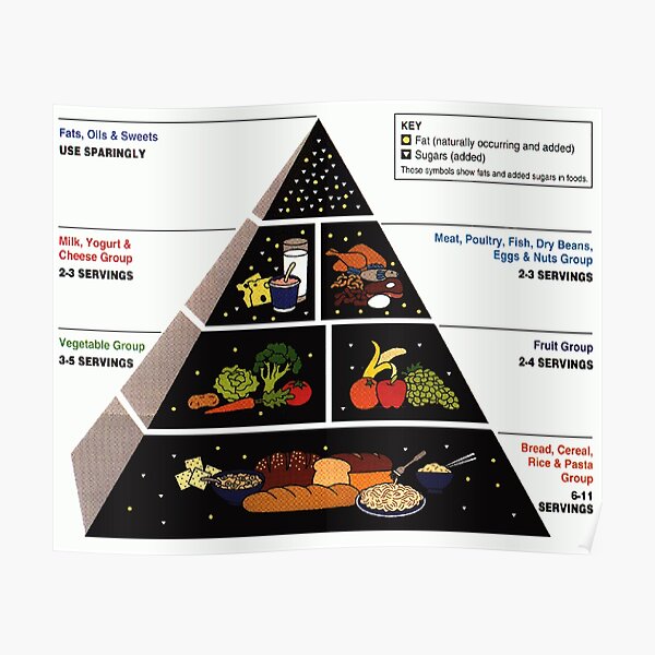 Balanced Diet Posters | Redbubble